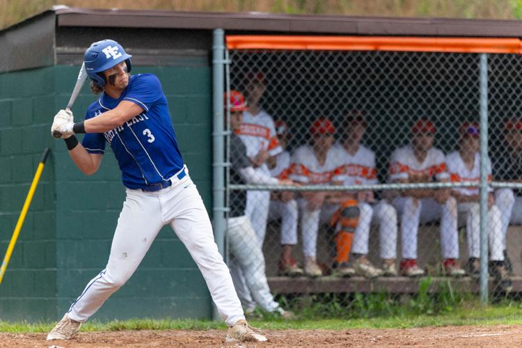 Cecil County baseball players earn All-Division honors | Sports ...