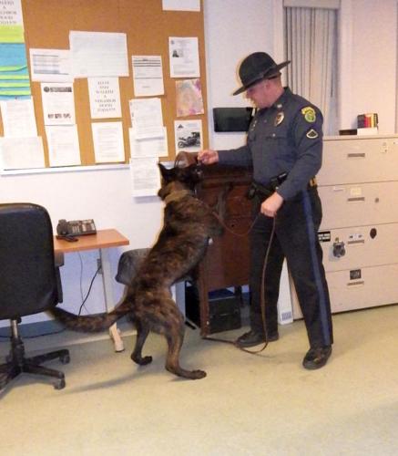 Rising Sun PD begins training new police dog | Local News | cecildaily.com