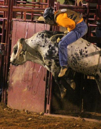 Photo gallery: Three Hills Rodeo delights at Cecil County Fair | Local ...