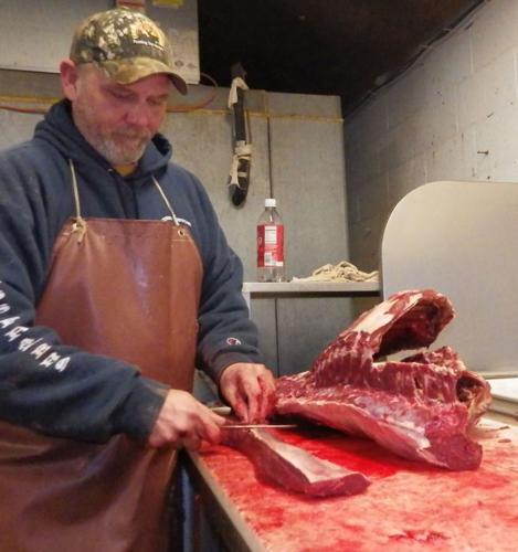 Firearms deer season harvest rises slightly in Cecil County | Local ...