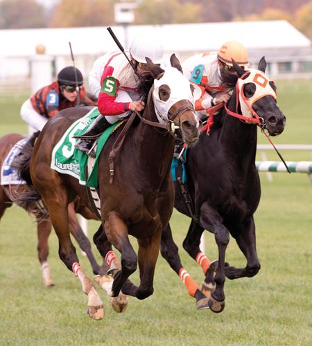HORSE RACING: Jazzy Idea voted Maryland-based Horse of the Year ...