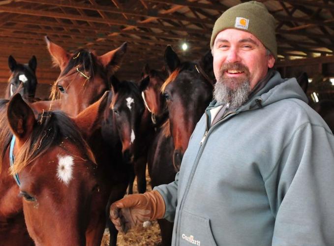 On the job: Yearling manager | Local News | cecildaily.com