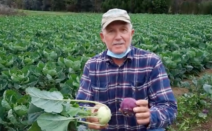 AgriCulture: Priapis need harvest help, take the Nutritious November ...