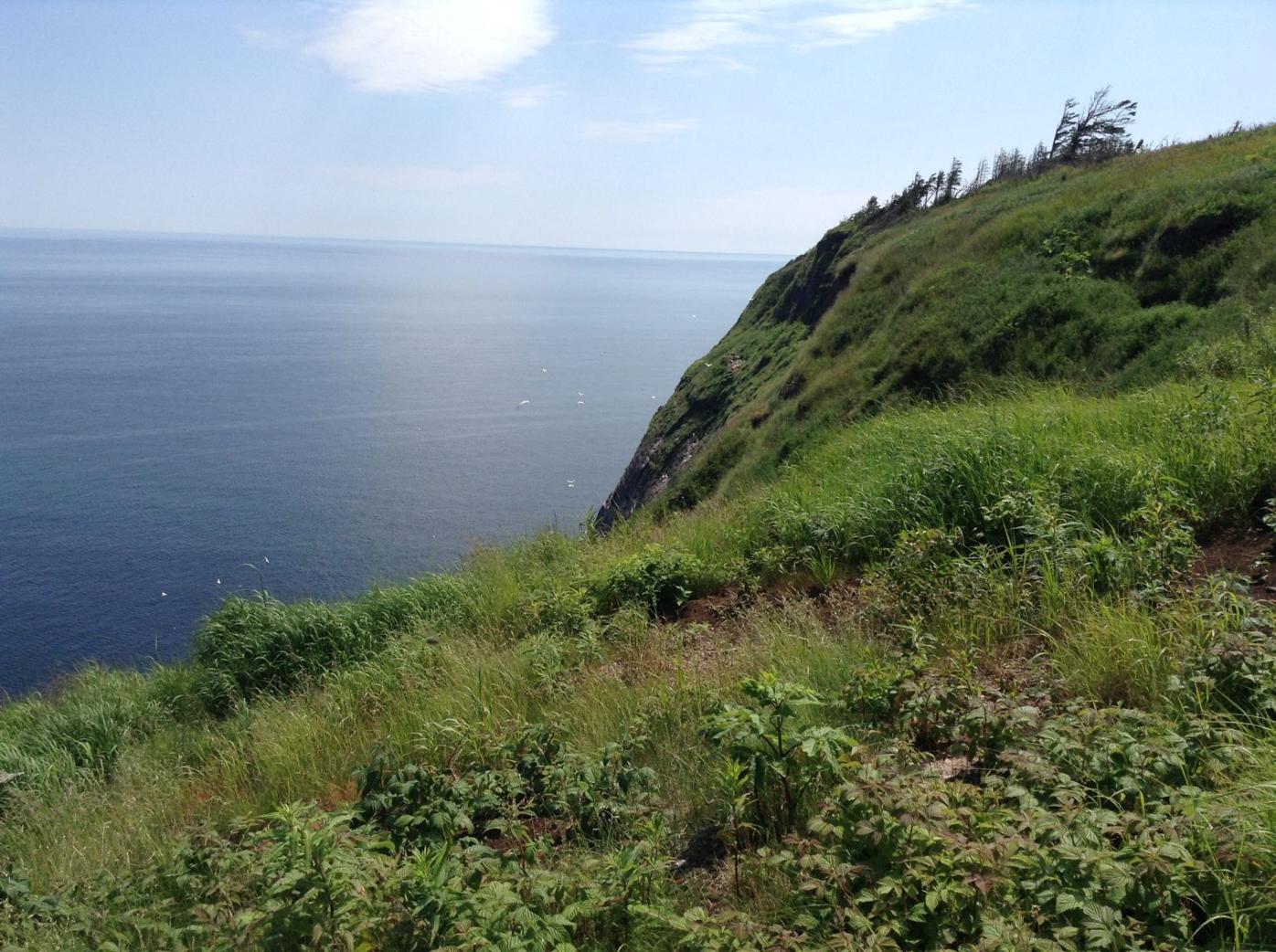 Gaspe Pennisula may be Canada's best kept secret | Misc. Features ...