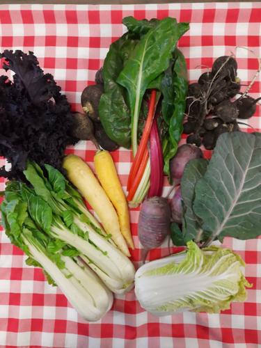 AgriCulture: Rooted In Our Community tries again, Ag Discovery, student ...