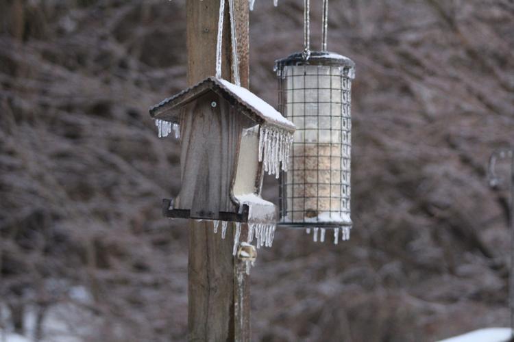 Snow, then ice, then snow again in Cecil County | Local News ...