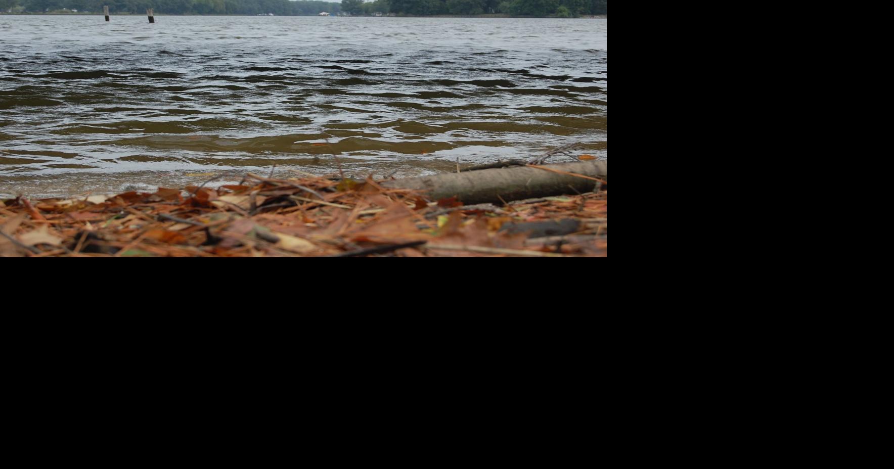 Scientists say 'dead zones' like those in Bay have grown across oceans ...