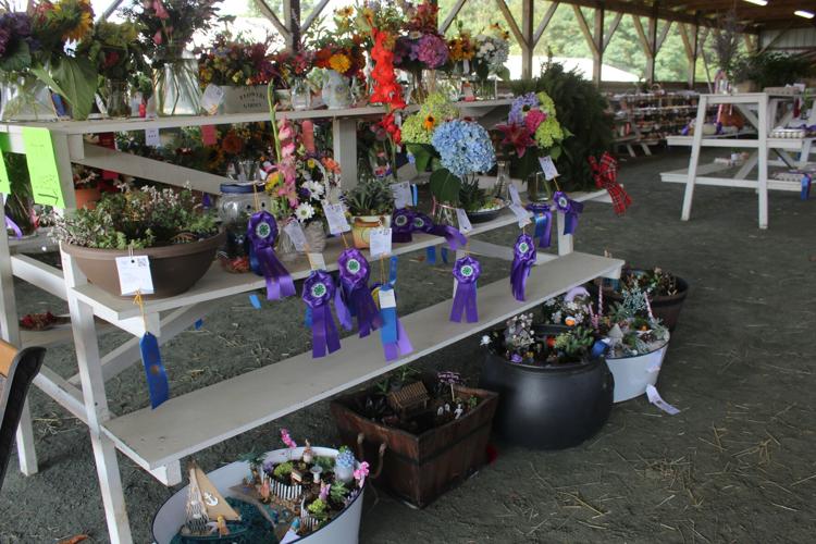 Photogallery: Fun at the 2025 Cecil County Fair | News | cecildaily.com