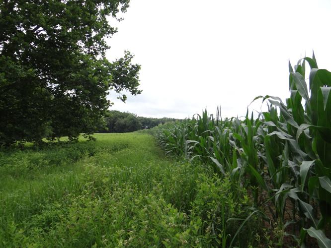 AgriCulture; 218 acres placed in preservation, cover crop deadline ...