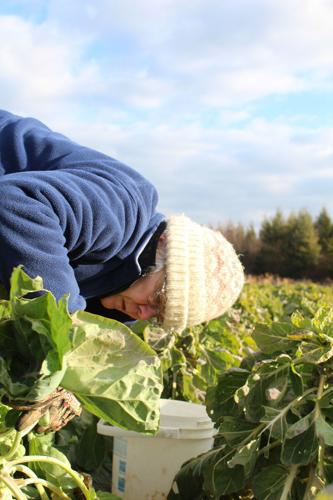 Biz Beat: La Quinta Inn completes renovation in Elkton | Business ...