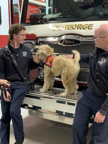 ‘Tate’ — Utah’s first certified therapy dog for first responders ...