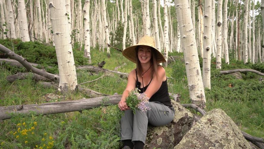 Friends of Pando documentary chronicles journey to capture world’s ...