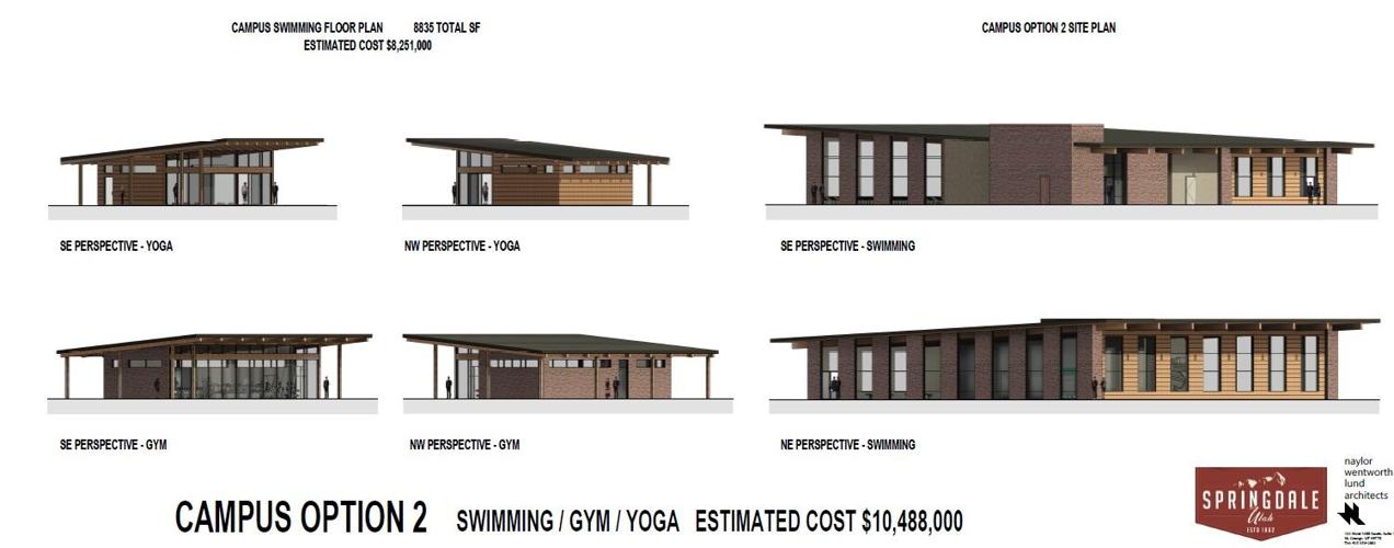 Springdale pursues input on proposed recreation center | Local News ...