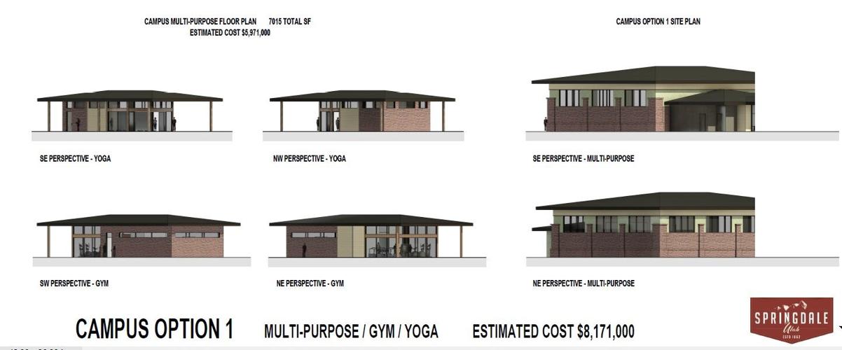 Springdale pursues input on proposed recreation center | Local News ...
