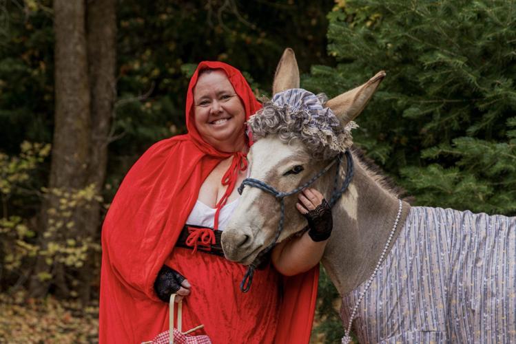 Wild Horse & Burro Festival showcases ‘amazing’ adoptable animals ...