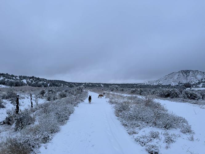 Photo gallery: Weekend storm blankets Southern Utah with snow, cold ...