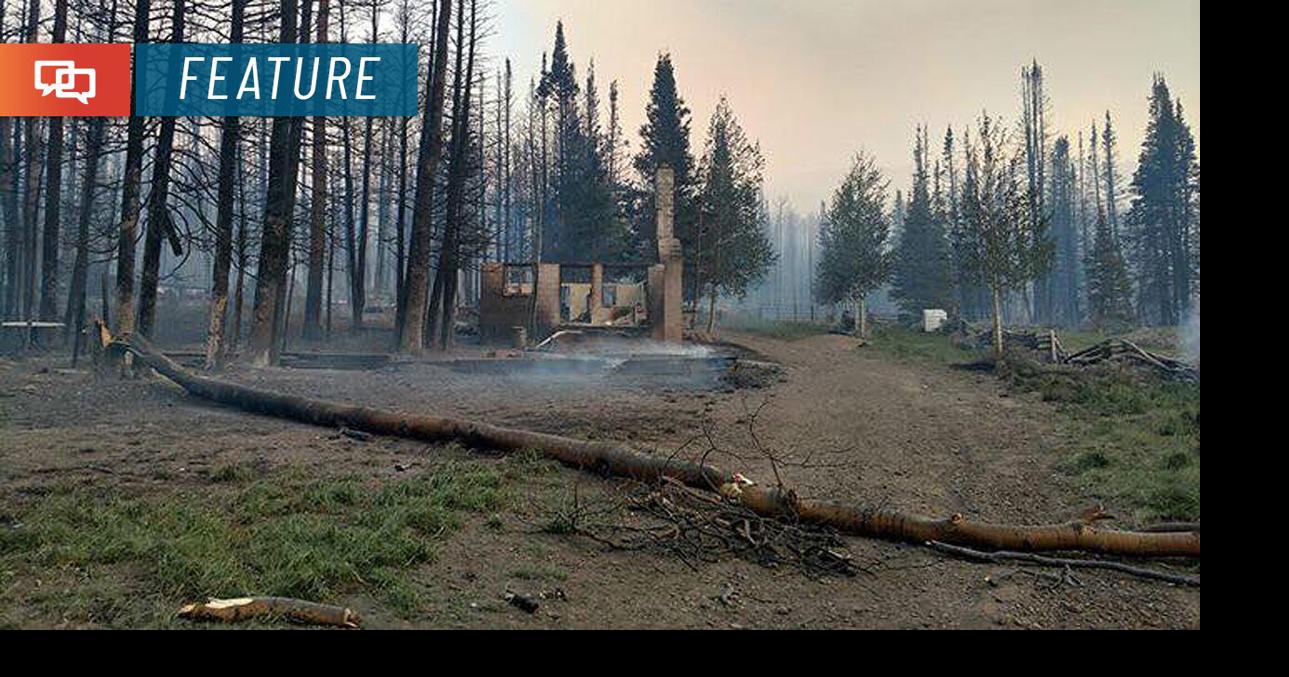 How to create a defensible space around your home to protect it from ...