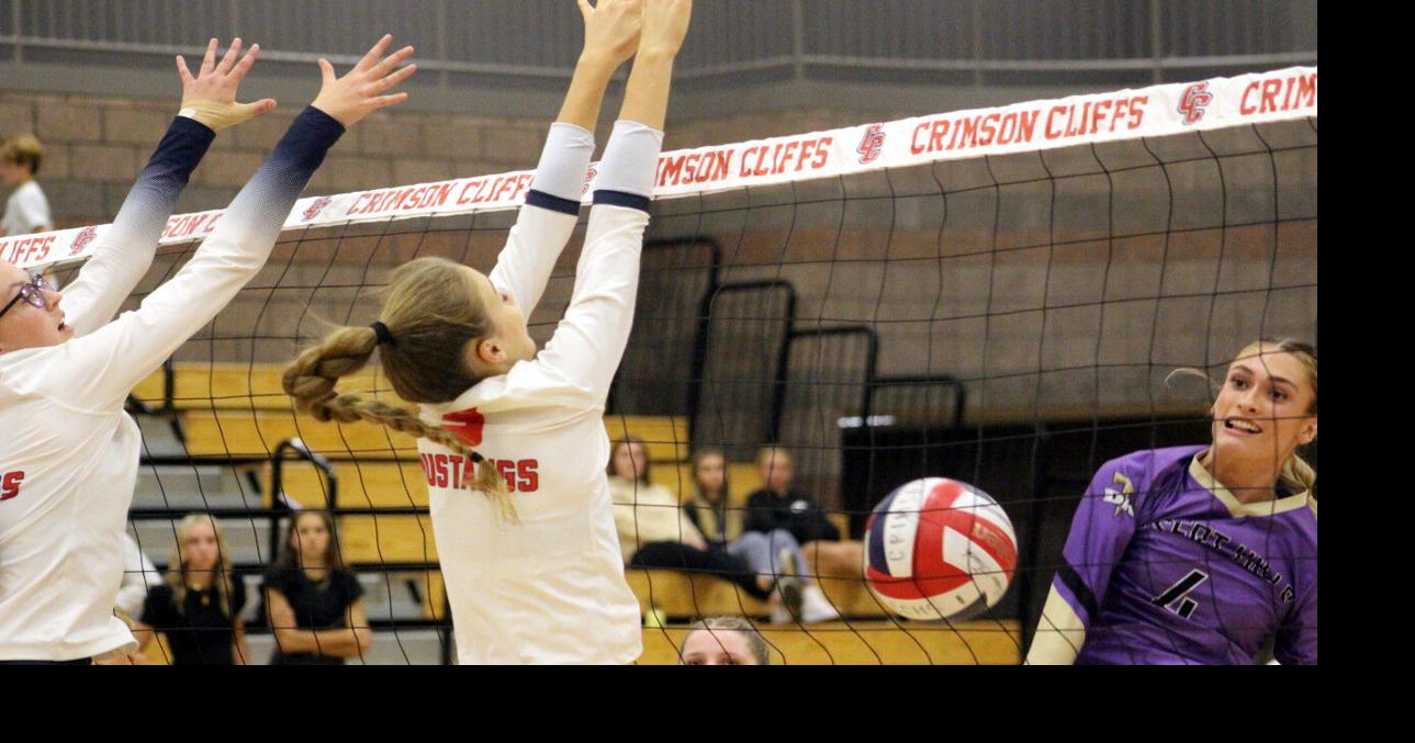 Co-MVPs Harrison, Larkin lead All Region 9 volleyball selections; club ...