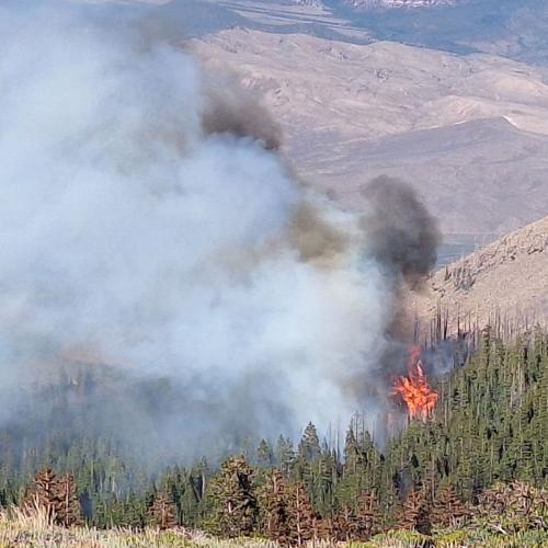 Silver King Fire remains active, but management transfers to local ...