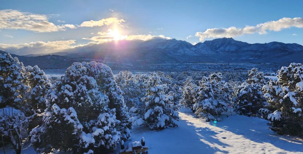 Photo gallery: Newly fallen snow brings a little holiday cheer to parts ...