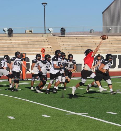 Pine View Panthers hope to taste sweet victory again after unusual ...