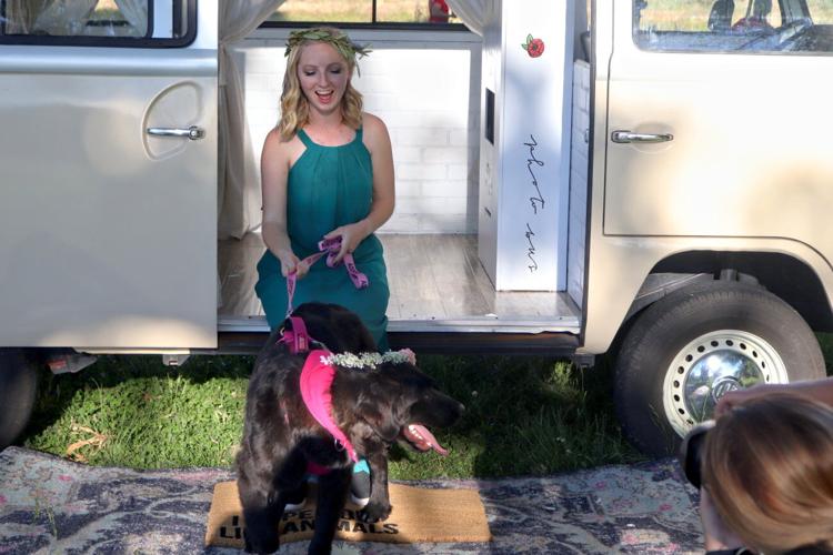 Models, mutts join forces for photo shoot to promote pet adoption ...