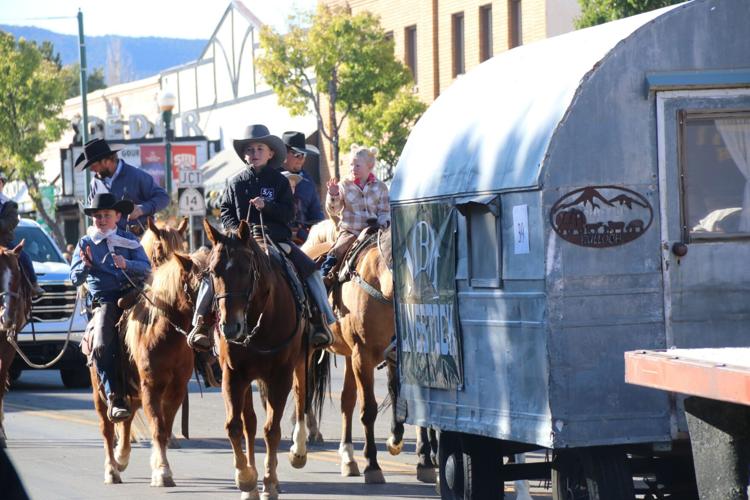 Video, photo gallery: Ewe had to be there at Cedar City’s sheep parade ...