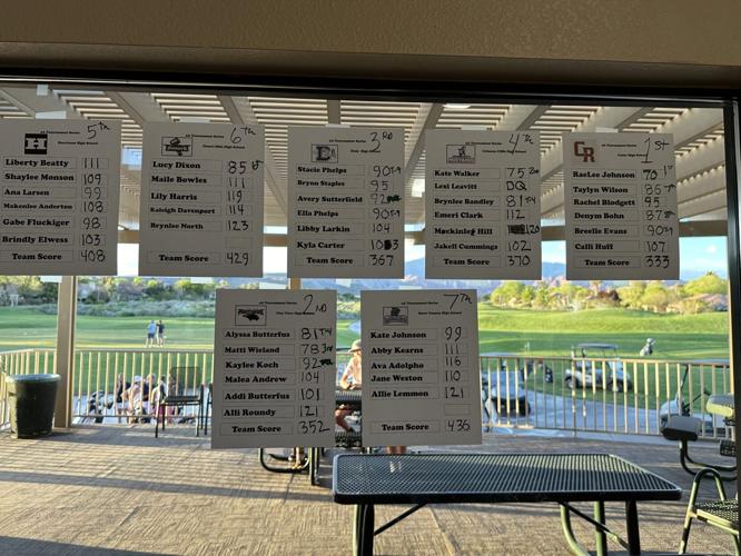 Region 9 girls golf: Cedar Reds power way to 19-stroke win at Green ...