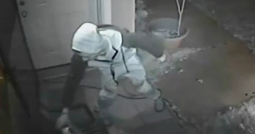 Caught on camera: St. George package thief steals box of poop | Local ...