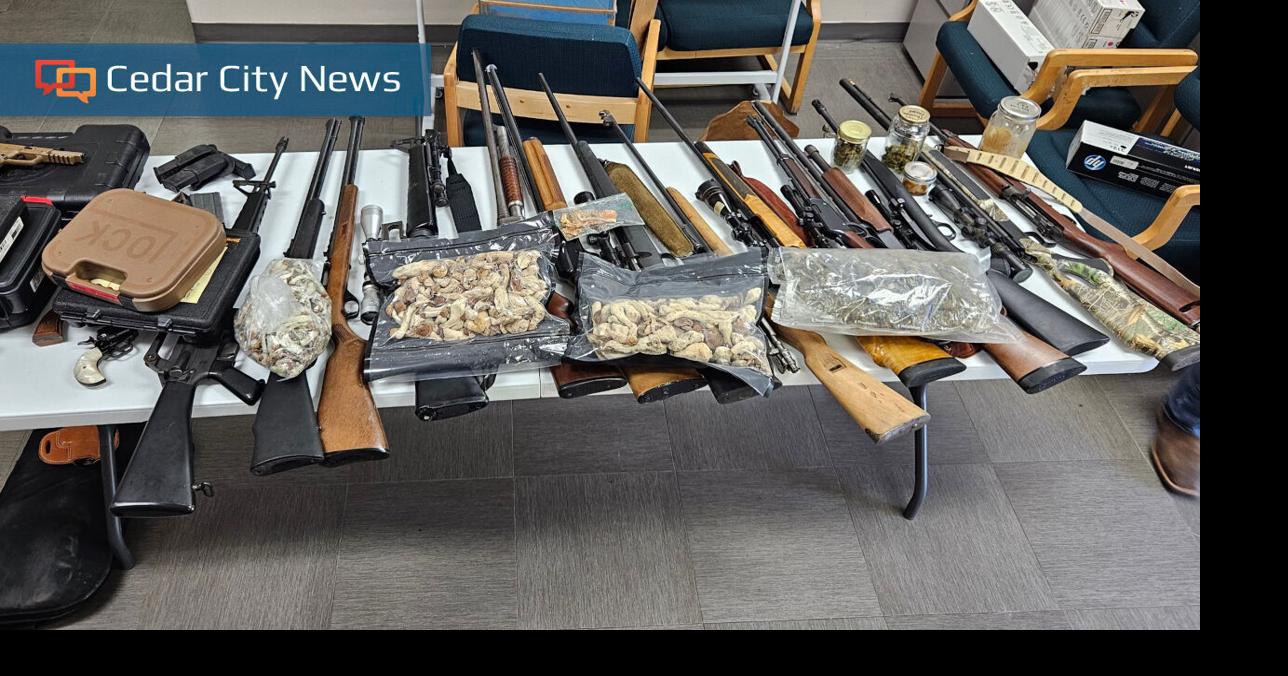 Cedar City man arrested after agents allegedly find psychedelic ...