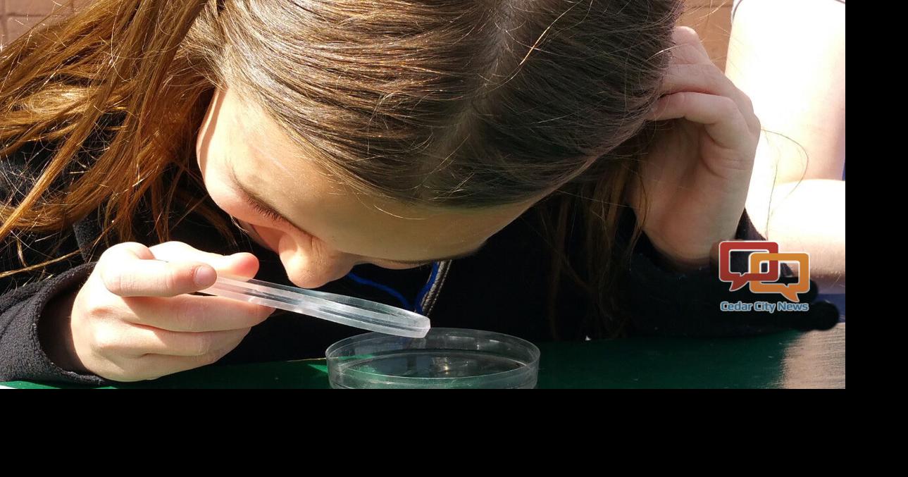 Water fair set to educate children about conservation | Education ...