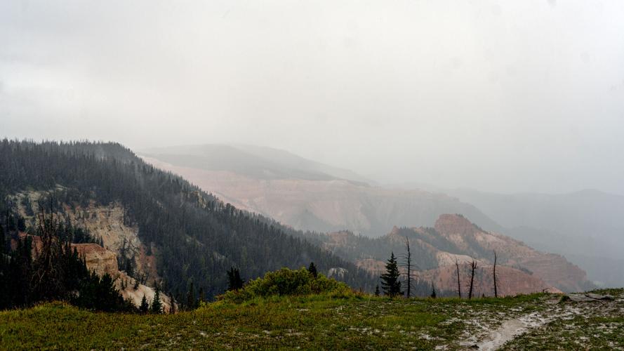 ‘It’s a big deal when it rains in the desert.’ Here’s why it smells so ...