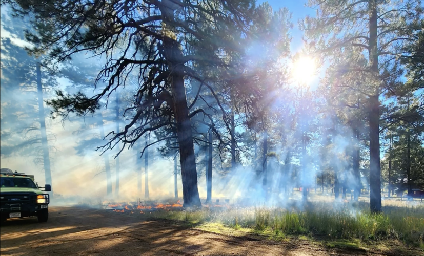 Prescribed burn in Kanab Creek drainage aims to remove invasive ...