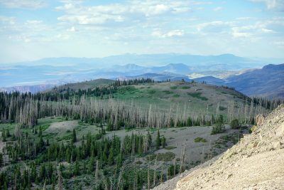 Are Southern Utah’s high-elevation forests still at risk of a large ...