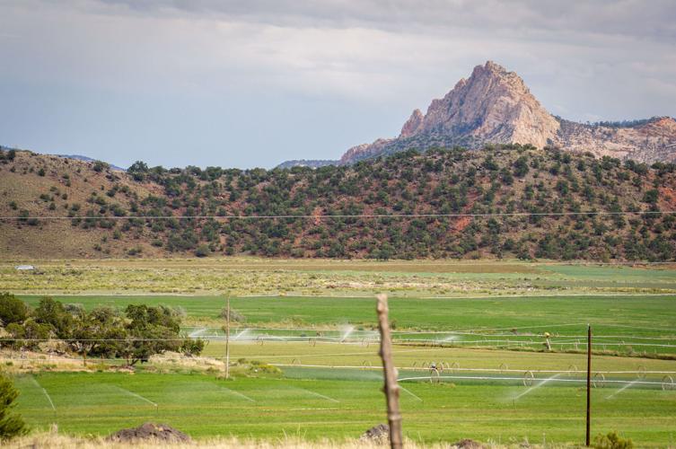 Utah has a $276M bet on farms to save Colorado River water. How’s it going? | Life ...