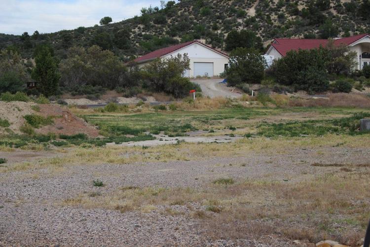 Mountain lion sighting in Diamond Valley keeps residents alert; tips ...