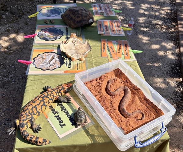 Community gathers to celebrate unveiling of new pavilion at Chuckwalla ...