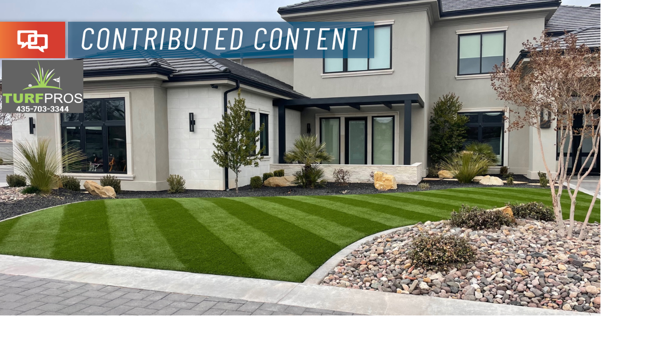 Elevate your home’s curb appeal, save precious water with artificial ...