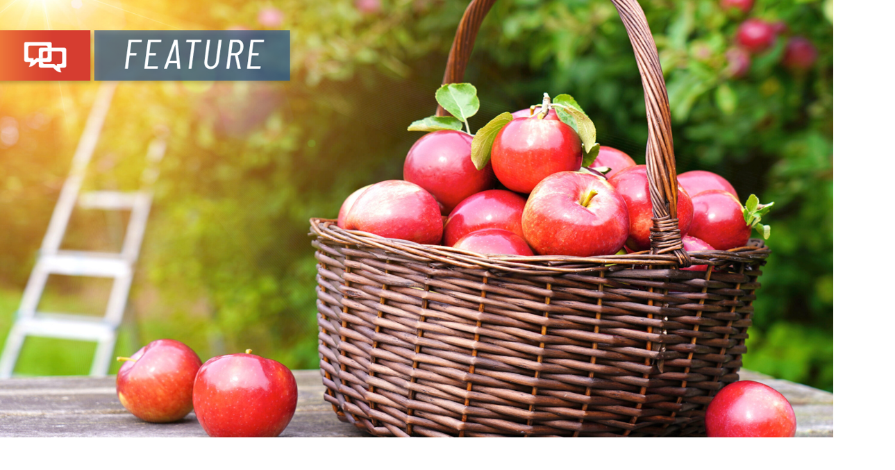 Apples, apples everywhere! Pick a peck of your favorites to make ...