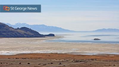 Move over, brine shrimp: Scientists discover new animal living in the ...