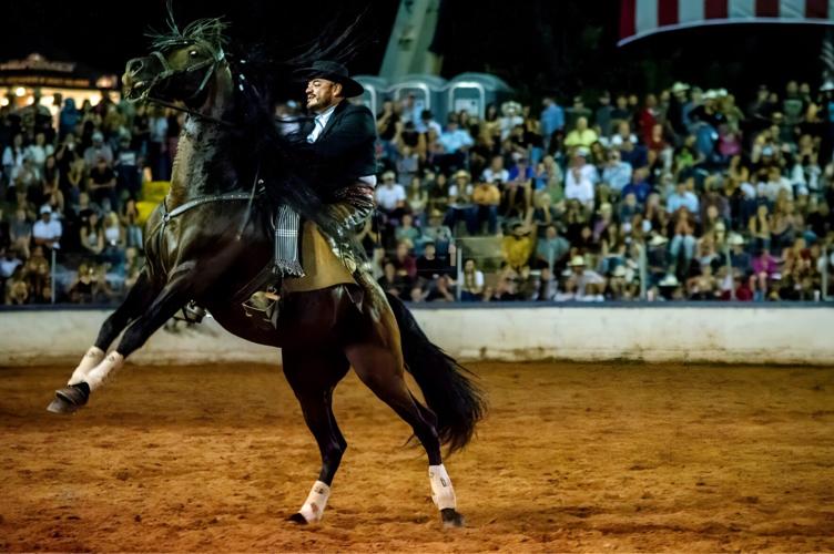Photo Gallery: Dixie Round-Up Rodeo fans see arena record broken ...