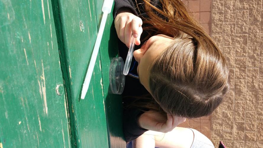 Water fair set to educate children about conservation | Education ...