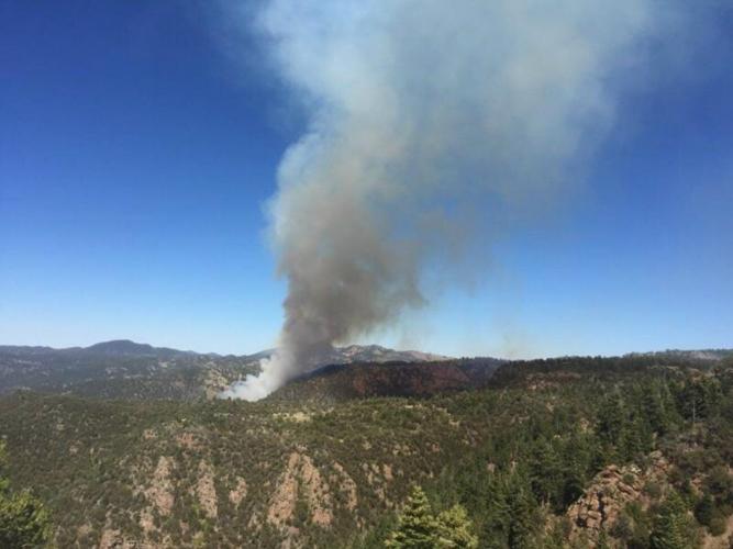 Fire sprouts on north side of Pine Valley Mountain wilderness | Local ...