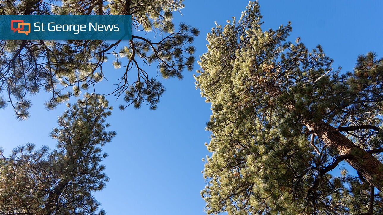 Federal Roadless Rule proposal could bring change to Southern Utah's ...