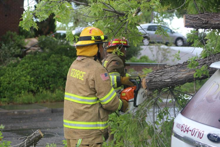 Rain pours, winds blow, tree topples onto SUV | Local News ...