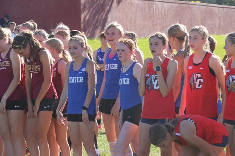 High school cross-country: Athletes hit season’s final stretch in full ...