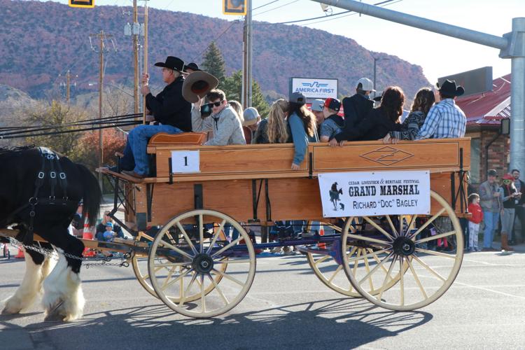 Photo gallery: Cedar City’s wild and woolly sheep parade | Events ...