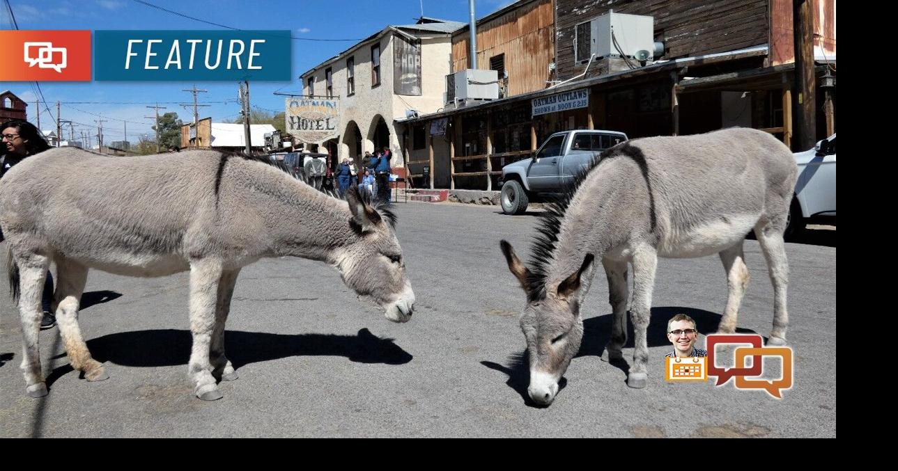 Oatman day: A center of Western lore and lovable burros in Arizona ...