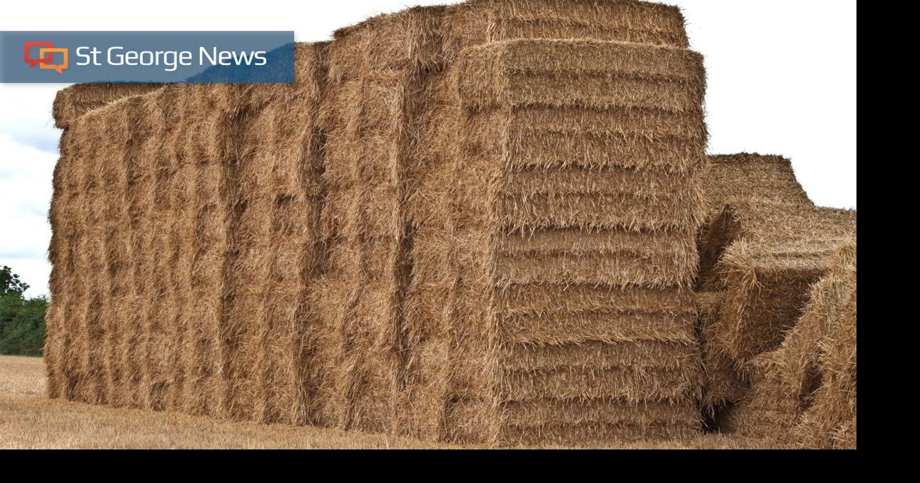 Man transported to hospital after falling off haystack in Washington ...