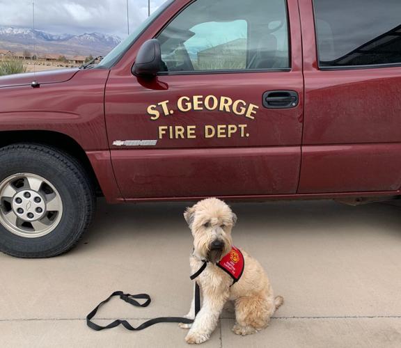 ‘Tate’ — Utah’s first certified therapy dog for first responders ...